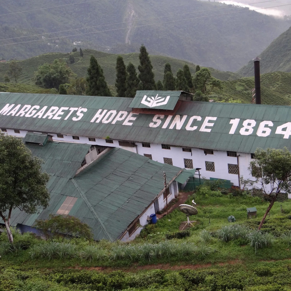 Black tea Whittard of Chelsea Margaret's Hope 2025 First Flush ...